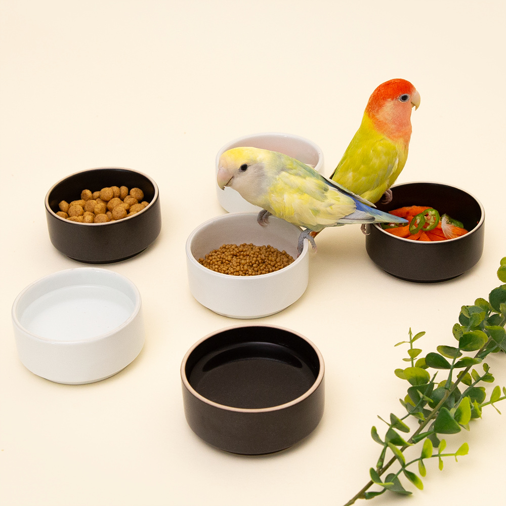 브리더스퀄리티