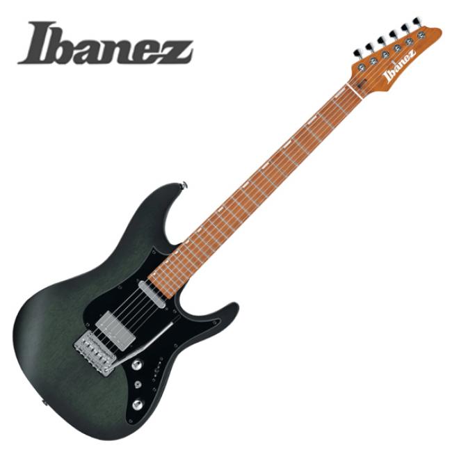프리버드 | Eric Hansel (CHON) 시그너쳐모델 Ibanez 일렉기타 EH10 TGM Transparent Green ...
