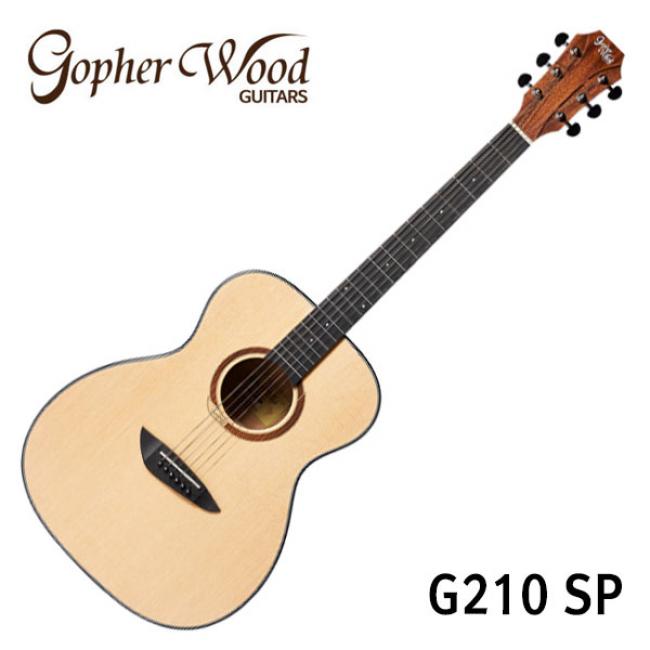 프리버드 | [가성비갑! 탑솔리드 고퍼우드 Gopher Wood 통기타 G210 SP 탑솔리드