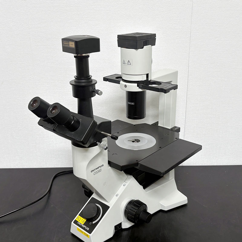 올림푸스 도립 위상차 현미경 CK40 (BQ18) | 중고현미경 1위 바이오컨비젼